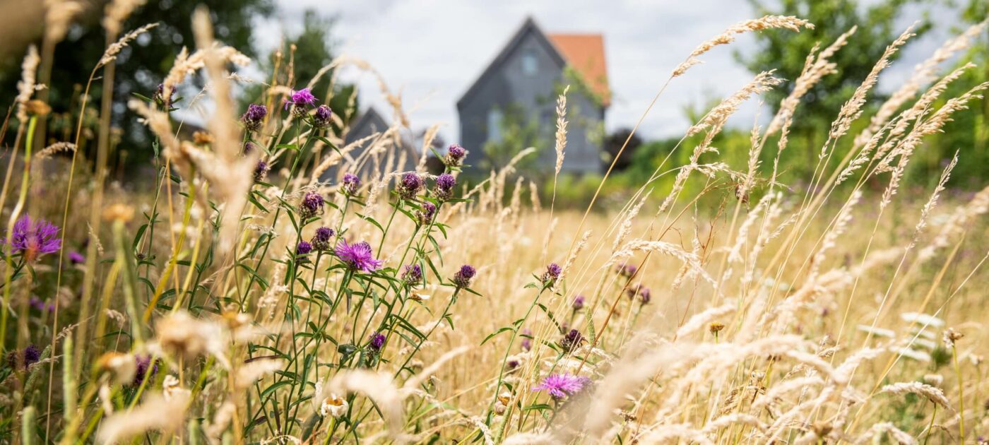 Our Homes | Greencore Homes